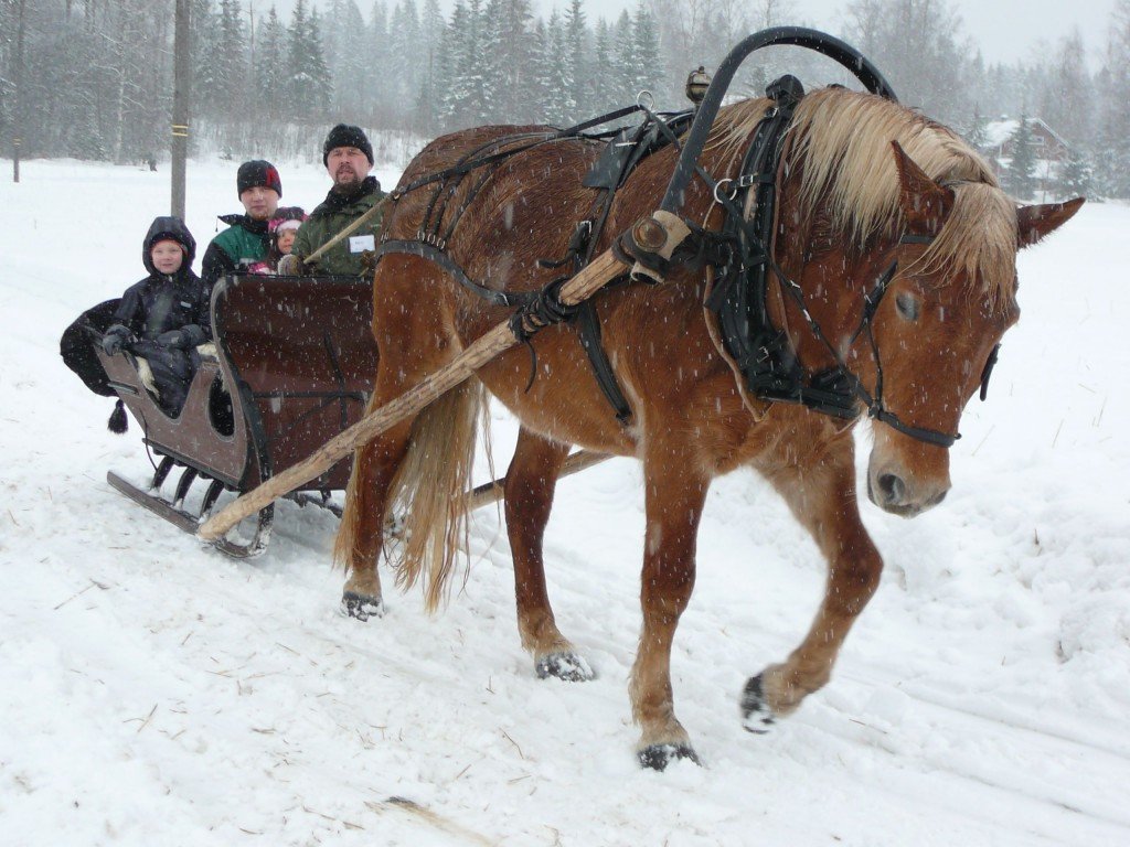 Laskiainen | Ohkola – Hyökännummi